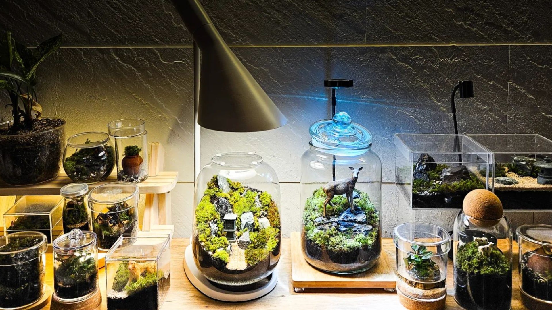 Moss Escape • Likhaan Creator